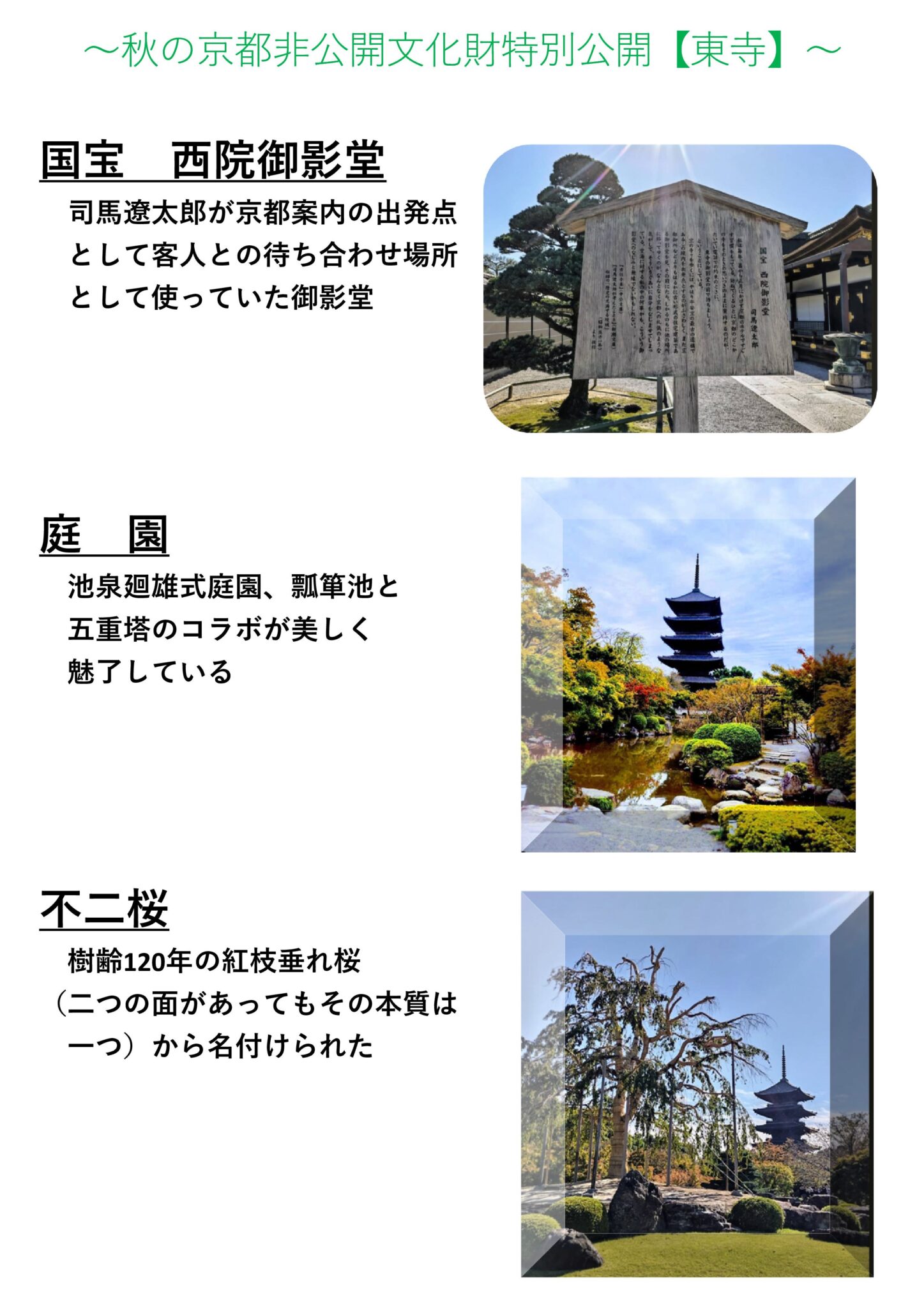 2024.25-けいはんなリフレッシュウォーク2 トピックス | 大阪府北部コミュニティカレッジ（ONCC)